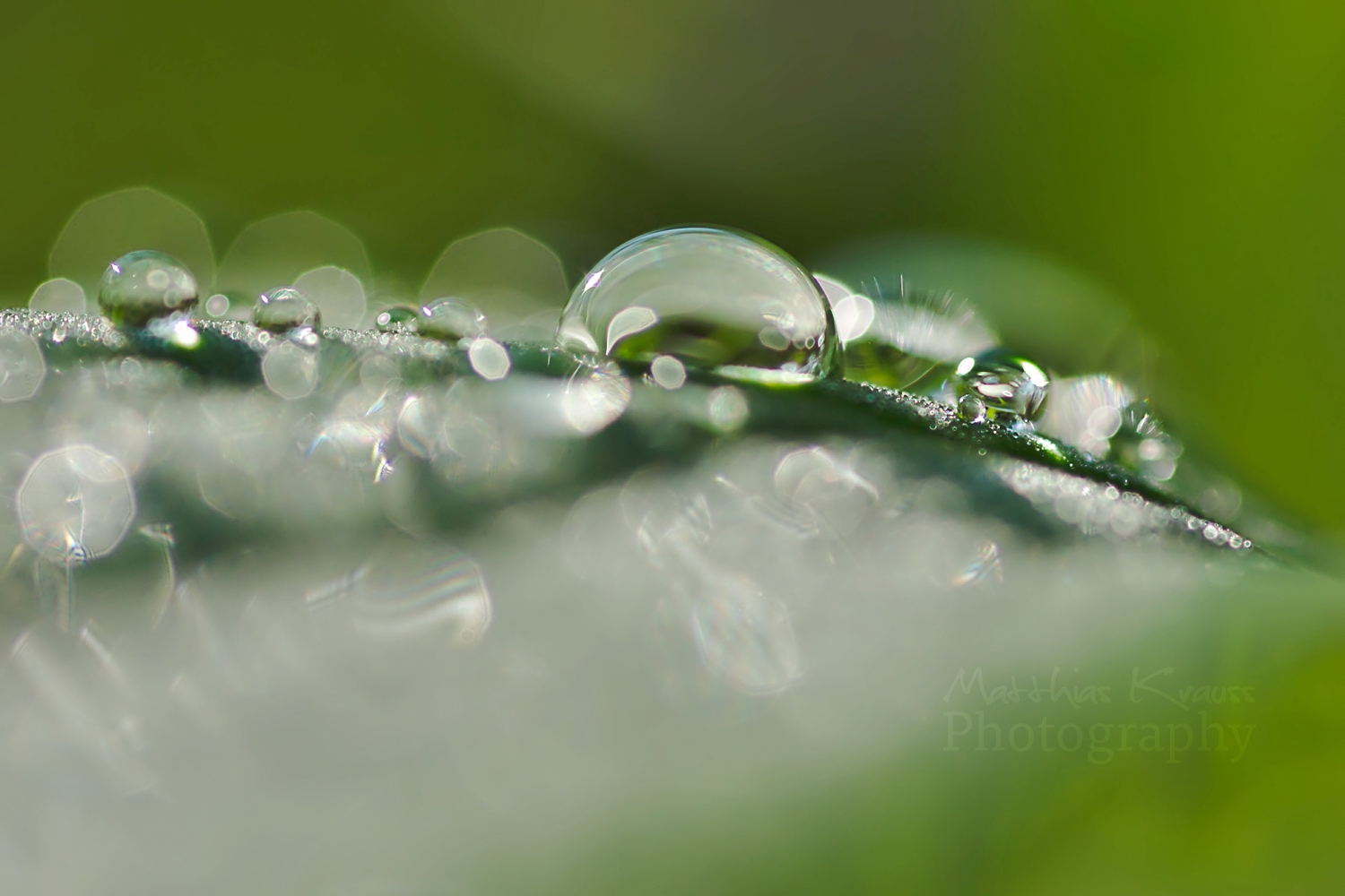 Detail [Water Drop Reflections] | Matthias Krauss Photography